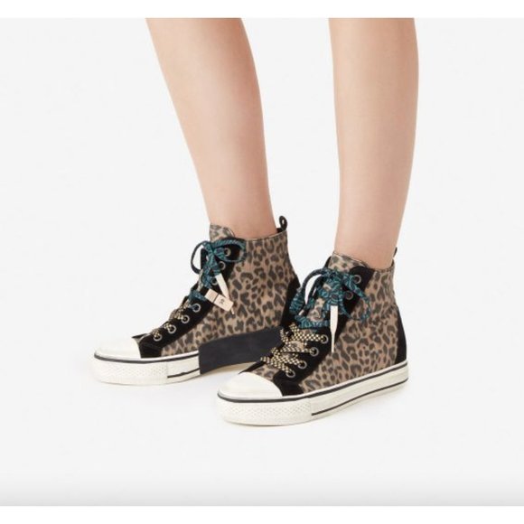 Ash | Shoes | Ash Genial Punk Cheetah High Top Sneakers Size 39 | Poshmark